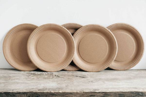 Disposable Plates – Eco-Friendly & Compostable Plates